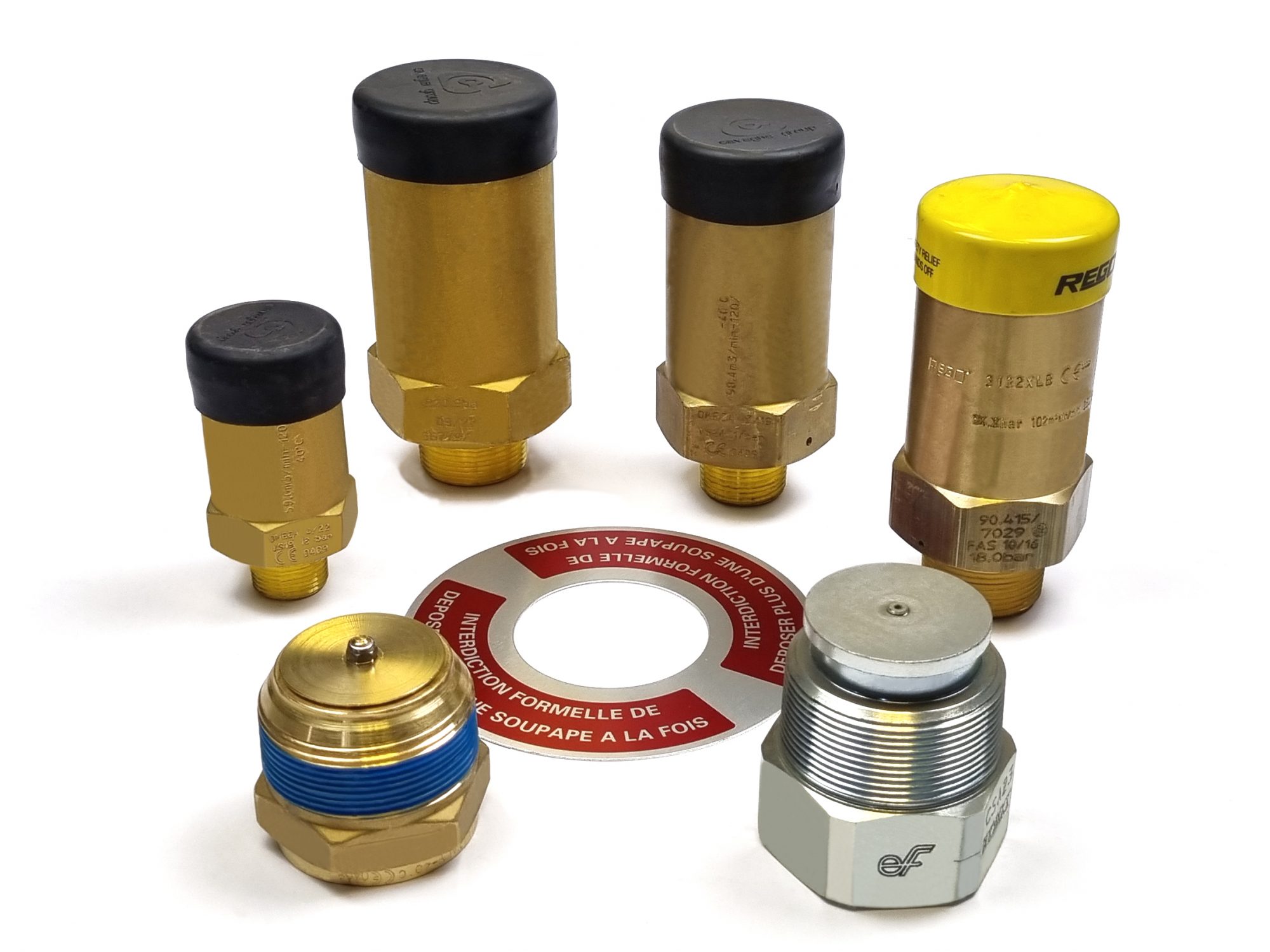 Soupapes à filetage NPT avec clapets porte soupape NPT - Equip'Fluides